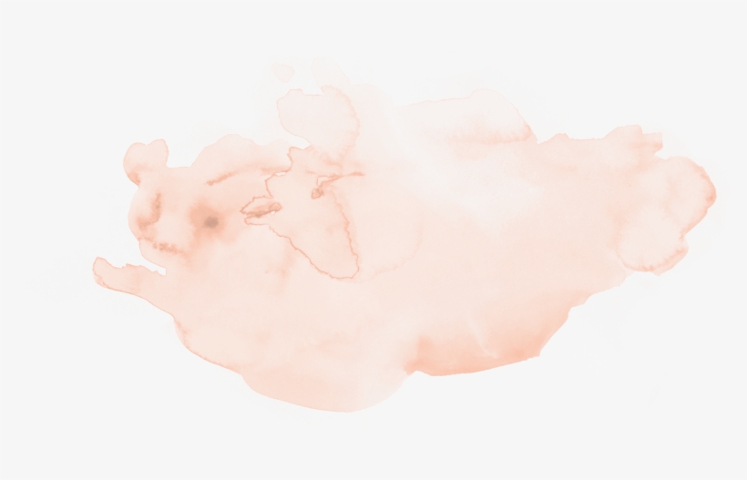 Watercolor - Human Body Louse Transparent PNG - 2751x1756 - Free ...