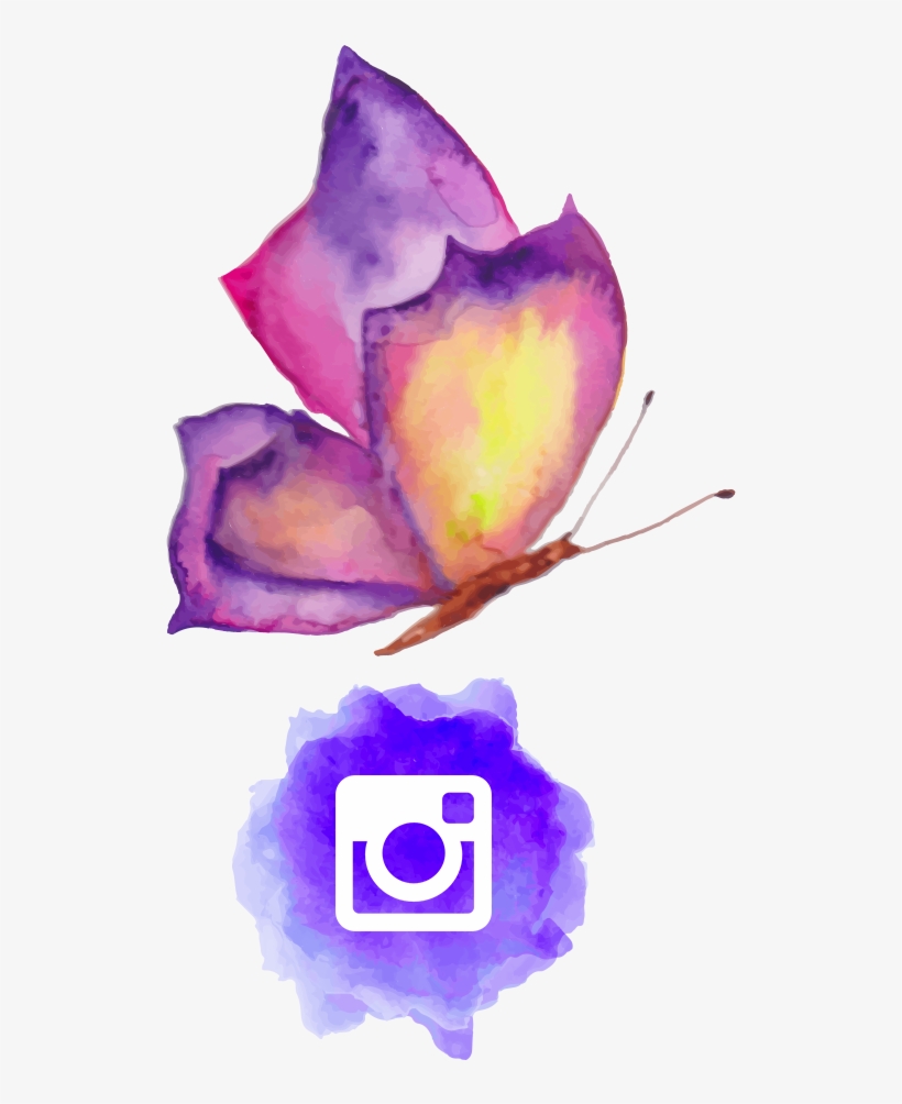 With The Release Of Instagram Stories, The Platform - Instagram ...