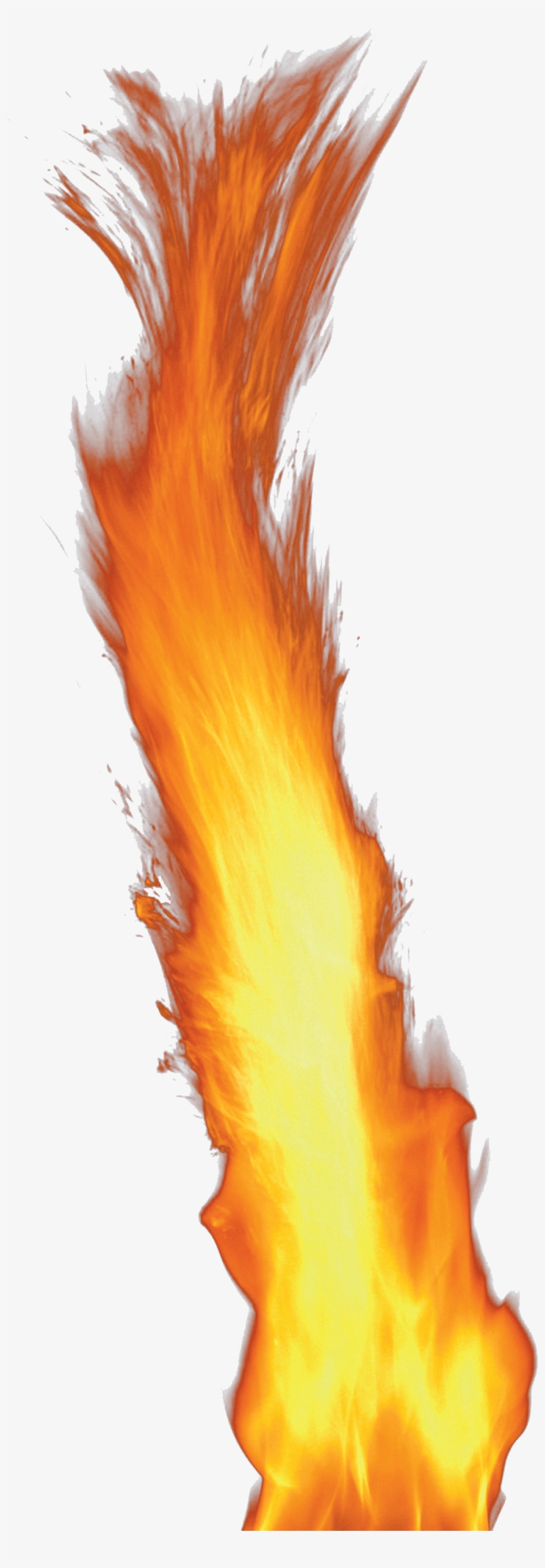 Nature - Dnd 5e Skin Kite Transparent PNG - 1560x2917 - Free Download ...