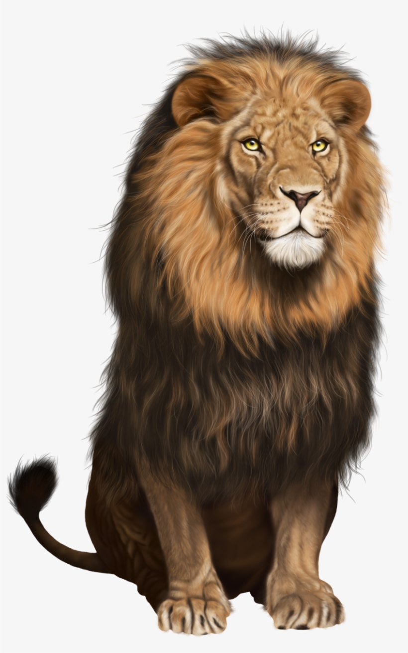 Clipart Lion Transparent Background - Animal Images Hd Png Transparent ...