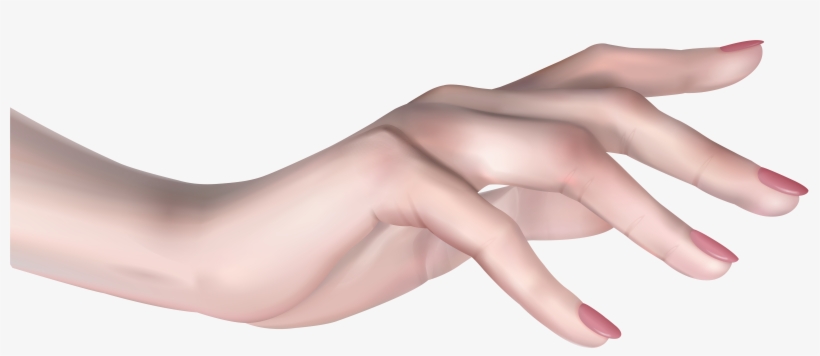 Download Female Hand Png - HD Transparent PNG - NicePNG.com