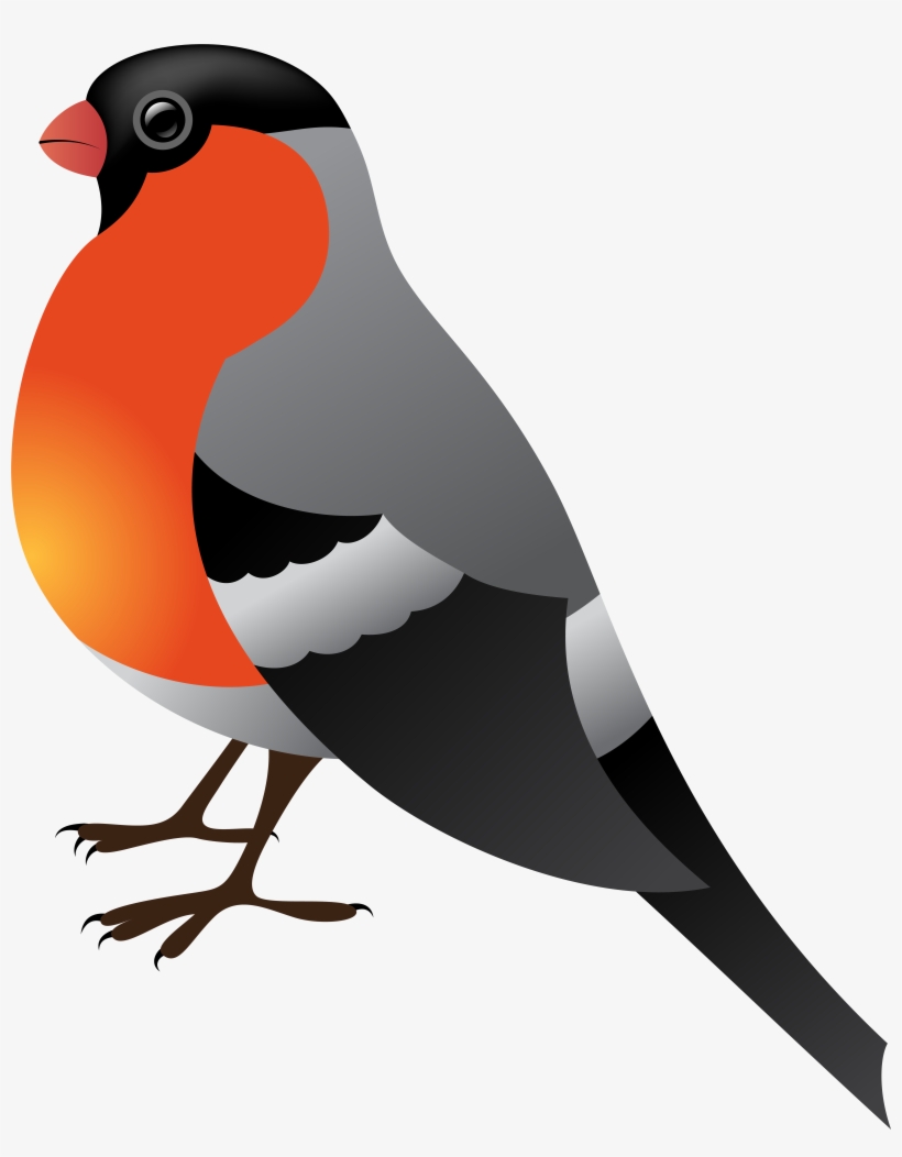 Finch Clipart Bird Png Transparent PNG - 6640x8000 - Free Download on ...