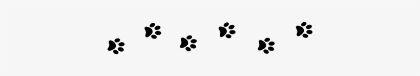 Line Of Paw Prints - Wall Sticker Paw Prints Transparent PNG - 400x400 ...