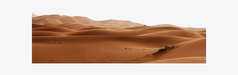 Required Options - Desert Transparent Background Transparent PNG ...
