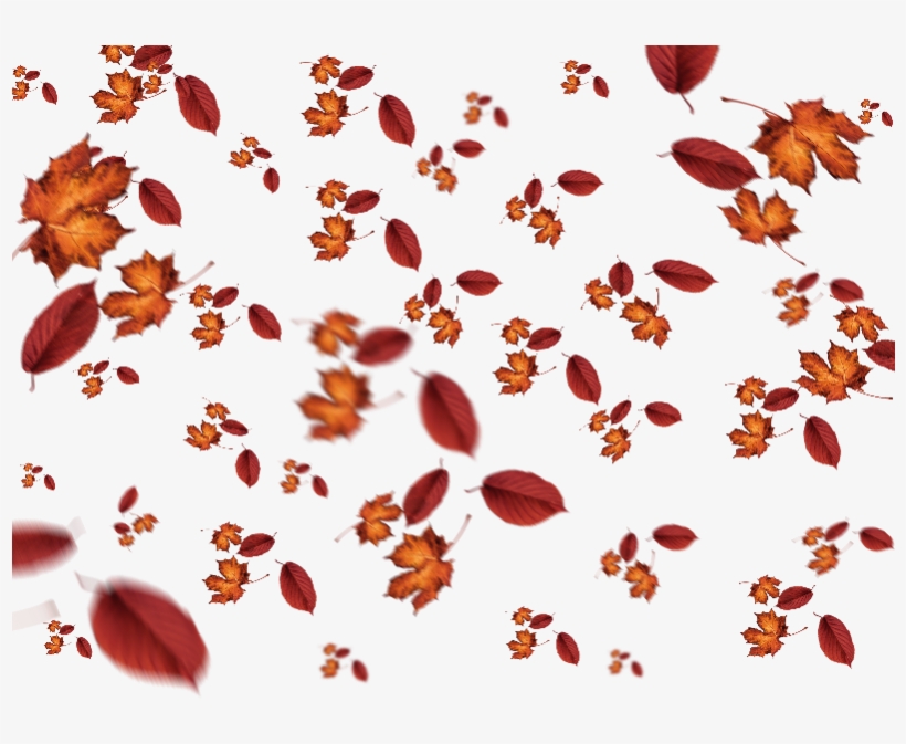 Falling Leaves Autumn Texture Overlay - Lizzka Transparent PNG ...
