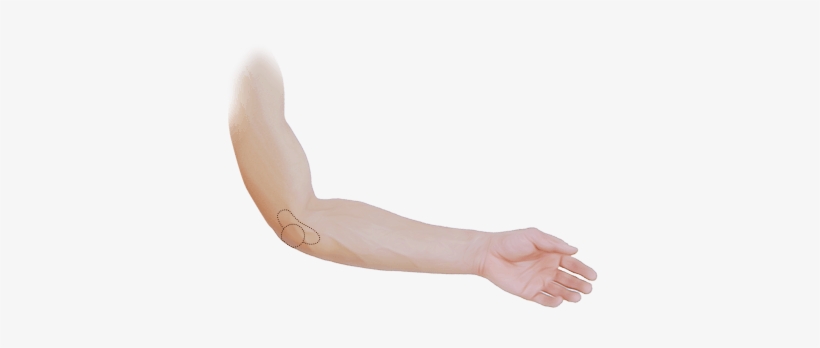 Elbow Transparent PNG - 410x310 - Free Download on NicePNG