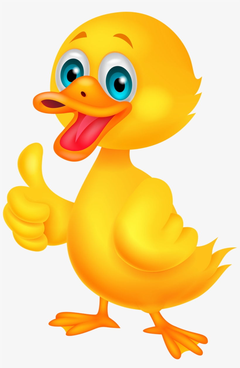 Duck Clipart Png Transparent PNG - 4287x6366 - Free Download on NicePNG