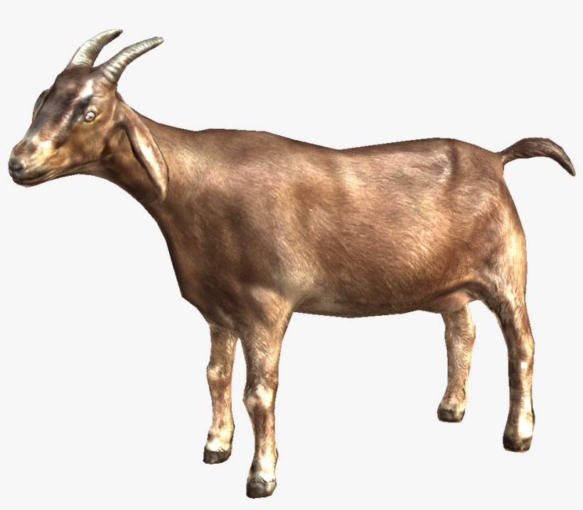 Free Png Goat Png Images Transparent - Goat Png Transparent PNG ...