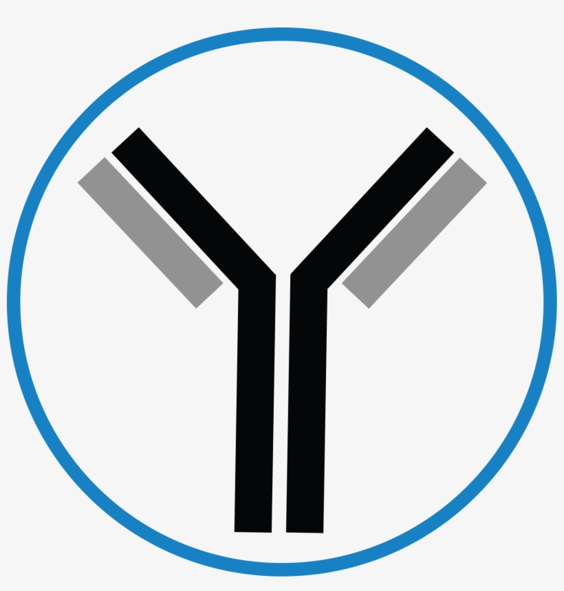 Antibody Transparent PNG - 1538x1538 - Free Download on NicePNG