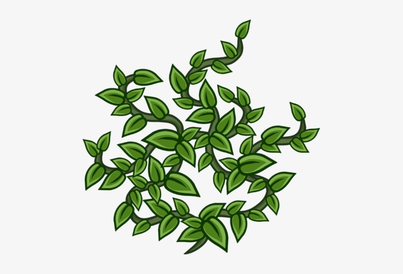 Vines Sprite 004 - Wiki Transparent PNG - 483x479 - Free Download on ...