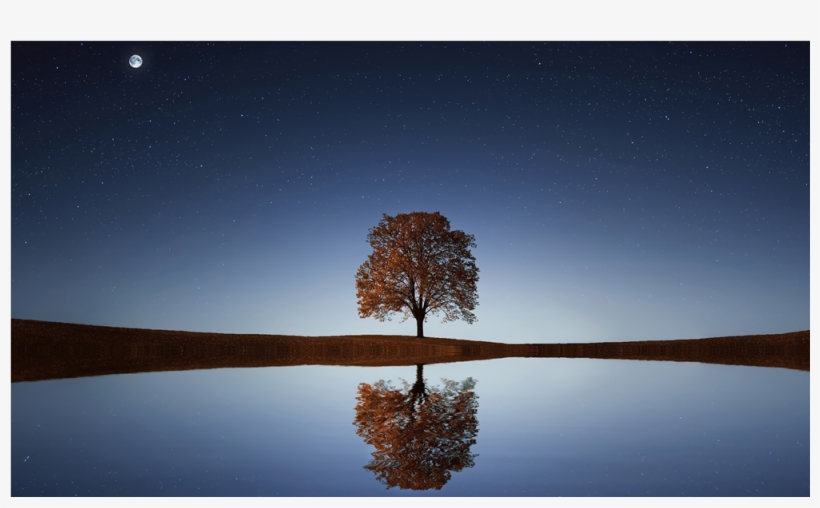 Reflection Transparent PNG - 1000x1000 - Free Download on NicePNG