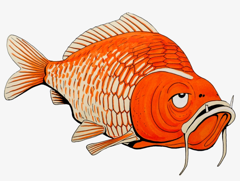 Goldfish Illustration