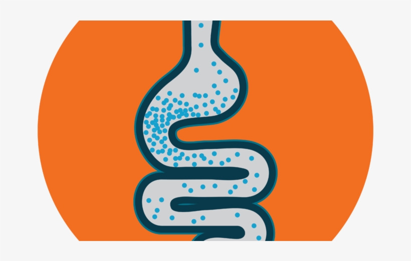 Enteric Drug Delivery Coating Techniques Transparent PNG - 700x441 ...