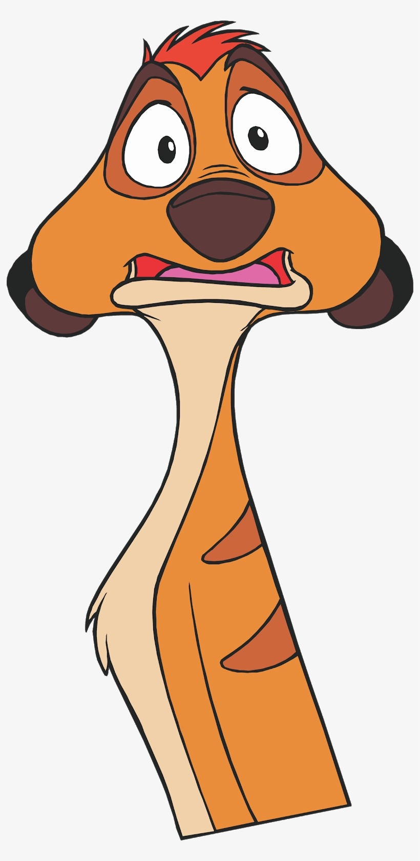 Timon And Pumbaa Cartoon Character, Timon And Pumbaa - Hakuna Matata ...