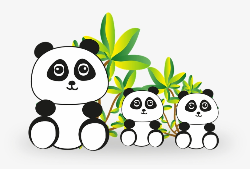 Panda Bear - Algorithm Panda 2018 Transparent PNG - 960x534 - Free ...