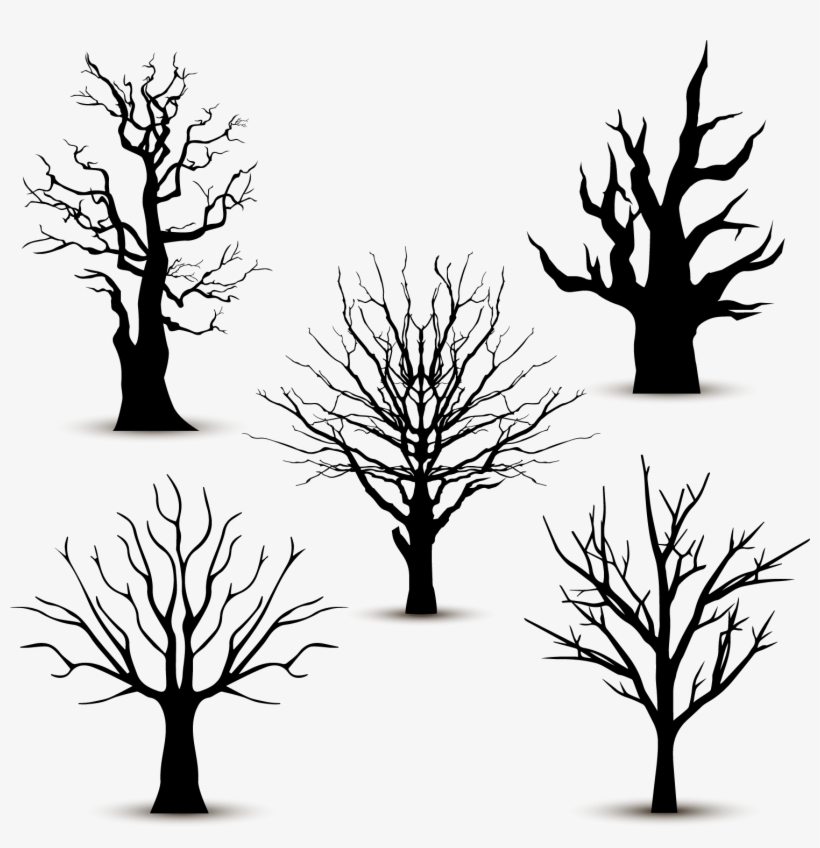 Tree Silhouette Euclidean Vector - Tatuaje Arbol Sin Hojas Transparent ...