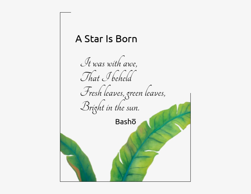 Basho Haiku - Matsuo Bashō Transparent PNG - 427x554 - Free Download on ...