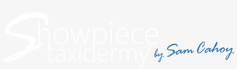 Logo - Patriarchy At Work: Patriarchal And Capitalist Relations ...