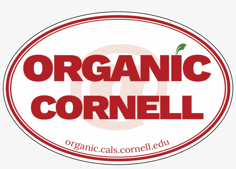 Cornell Logo Png Transparent Background - Circle Transparent PNG ...