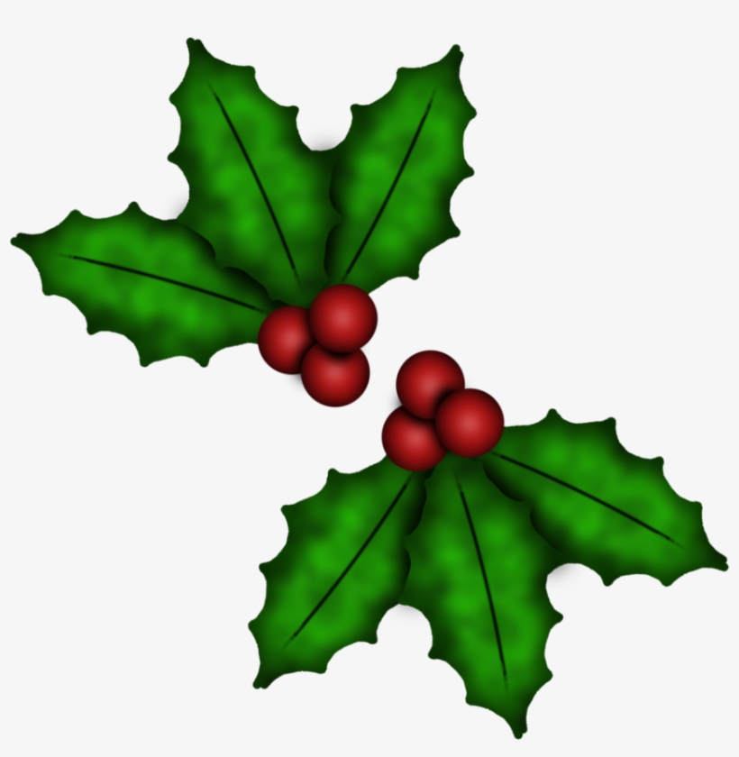 Holly Berries Png Transparent PNG - 894x894 - Free Download on NicePNG