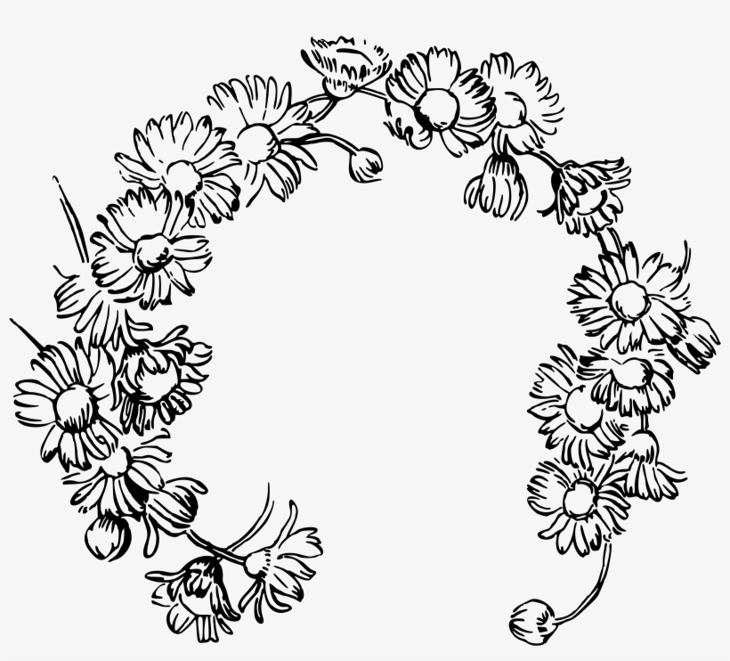 Daisy Chain - Flower Chain Clipart Transparent PNG - 2400x2086 - Free ...