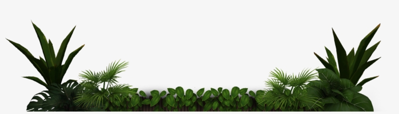 Jungle Plant Graphic Transparent Download - Tf2 Jungle Inferno ...