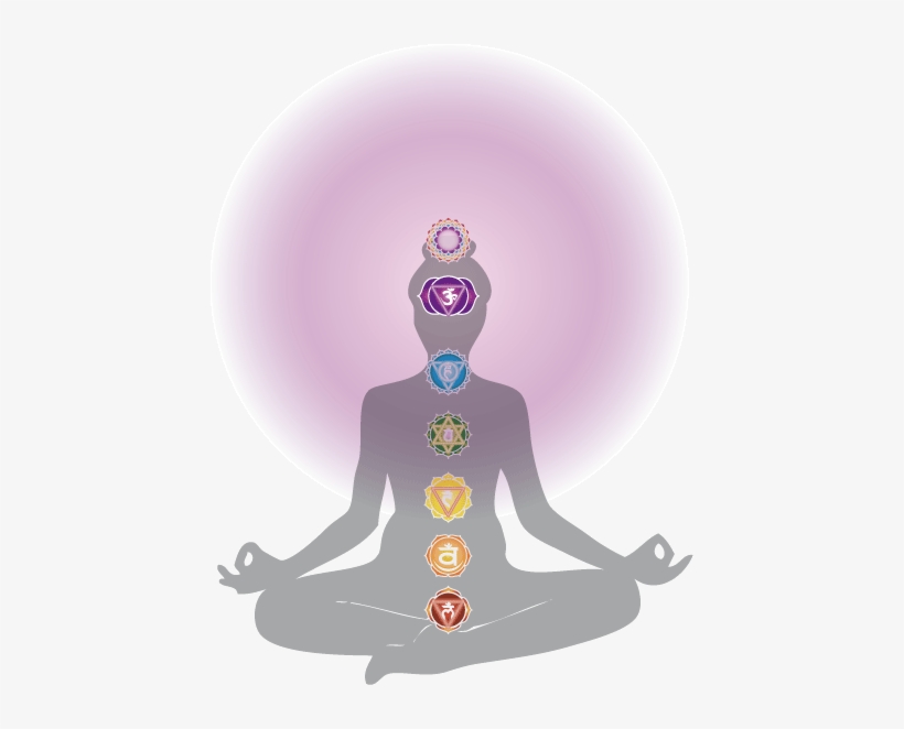 Harmonizing The Energy Body Chakra Anatomy Third Eye - Lotus Third Eye ...