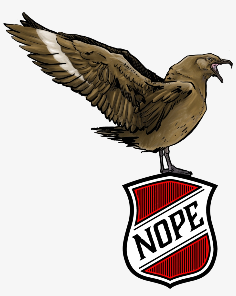 Skua Sticker Design - Design Transparent PNG - 1000x1144 - Free ...