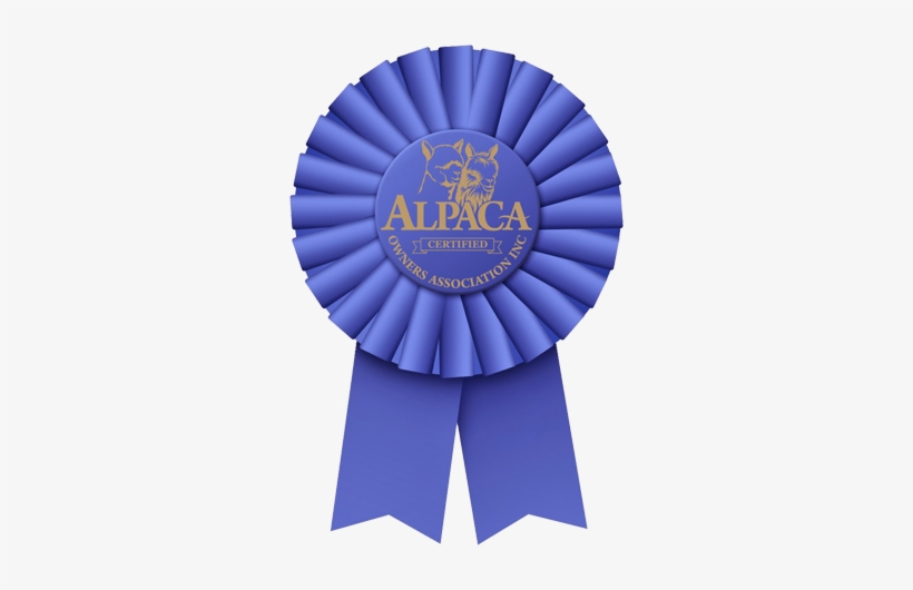 Aoa Show Ribbon Example - Minnesota State Fair Blue Ribbon Transparent ...