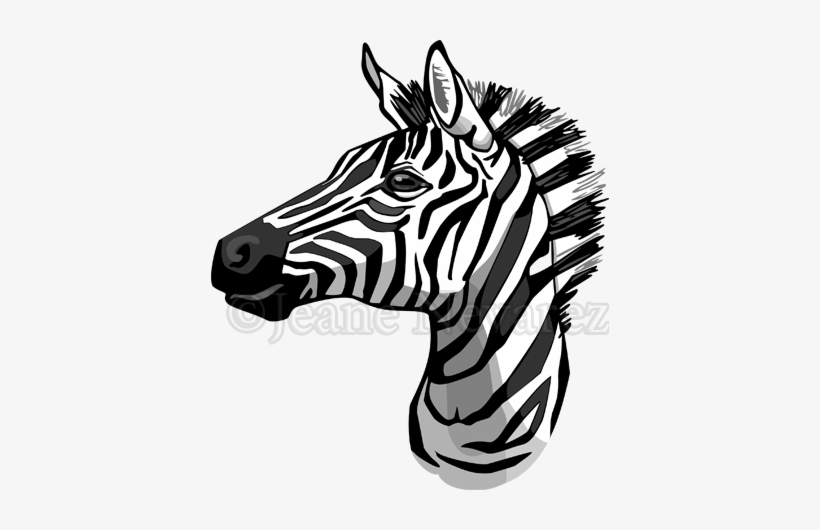 Art By Jeane Nevarez - Zebra Head Line Drawing Transparent PNG ...