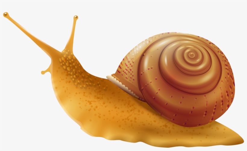 Turbo The Snail Images Clipart