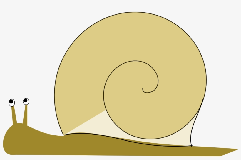Scrap Snail Clipart Graphic Transparent - Snail Clipart No Background ...