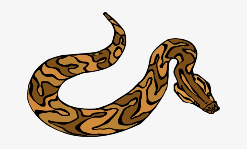 Anaconda Clipart Brown Snake - Snake Clipart Transparent PNG - 640x413 ...