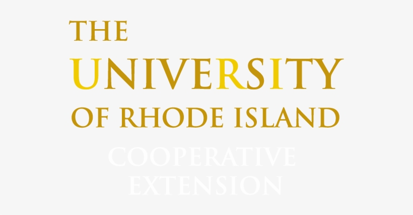 Download Logo Gold Glow Png - Uri Logo Transparent - HD Transparent PNG ...