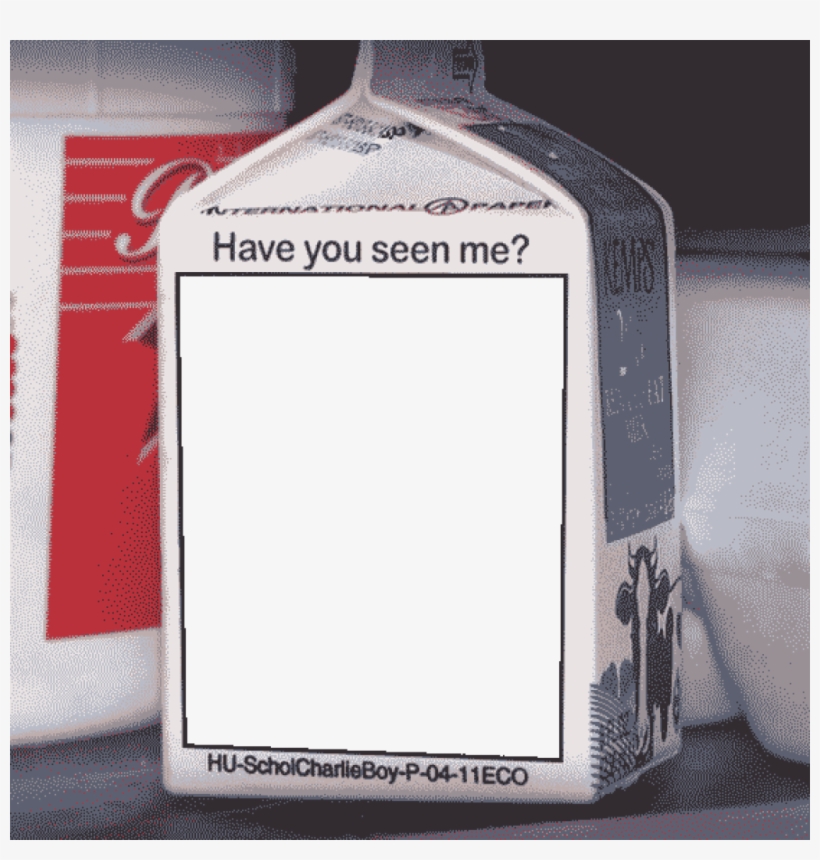 Milk Carton Missing Person Template