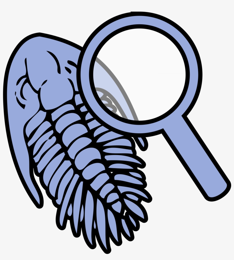 Open - Trilobite Icon Transparent PNG - 2000x2119 - Free Download on ...