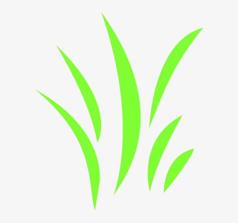 Icon Grass Grasses Bloom Green Transparent PNG - 720x720 - Free ...