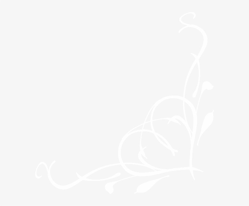 Download Decorative-borders White - Twitter White Icon Png - HD ...