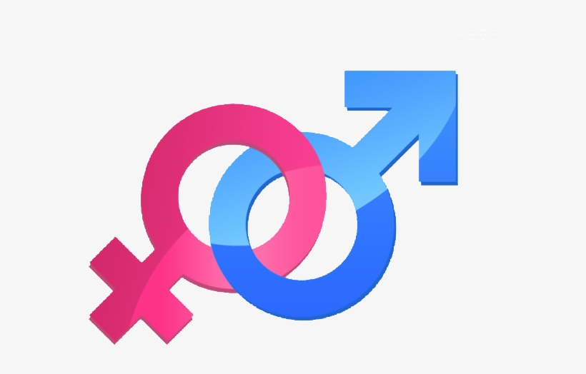 Feminine And Masculine Sign Transparent PNG - 639x511 - Free Download ...