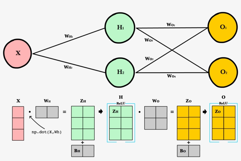 Images/nn With Matrices Displayed - Weight Matrix Multiplication ...