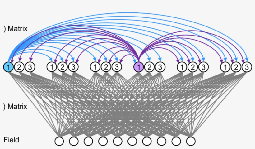 The H Matrix Mediates Signals From The Single Fully - Drawing ...