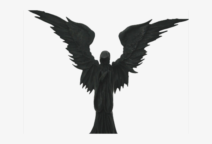 Angel Of Death Bird Transparent PNG - 640x480 - Free Download on NicePNG