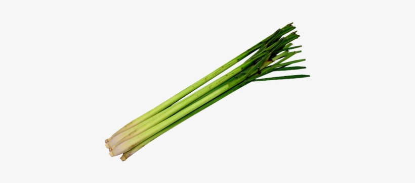 Chives Transparent PNG - 498x421 - Free Download on NicePNG