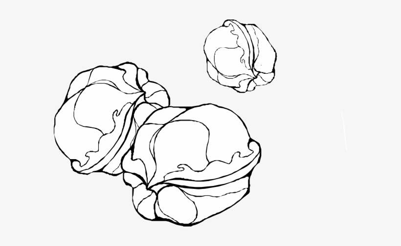 Original Png Clip Art File Walnuts Outline Svg Images Transparent PNG ...