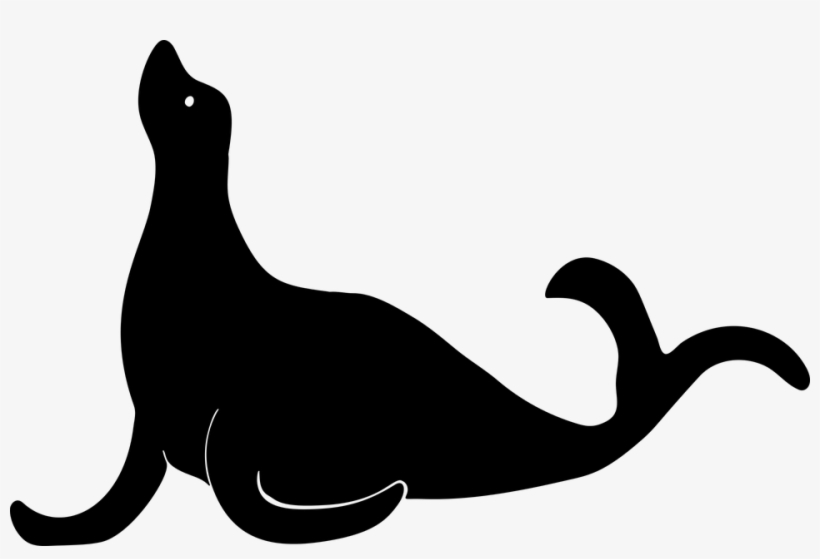 Sea Lion Clipart Animal Shadow - Seal Silhouette Transparent PNG ...