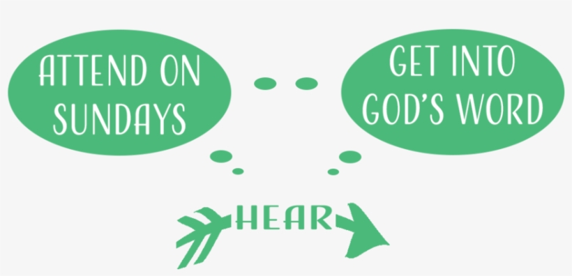 Hear Transparent PNG - 1000x500 - Free Download on NicePNG