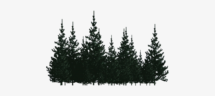 Billboard Trees - Pines Png Transparent PNG - 480x296 - Free Download ...