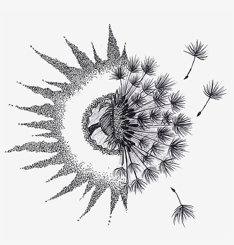About Sunshine And Dandelions - Engraving Transparent PNG - 2350x2350 ...