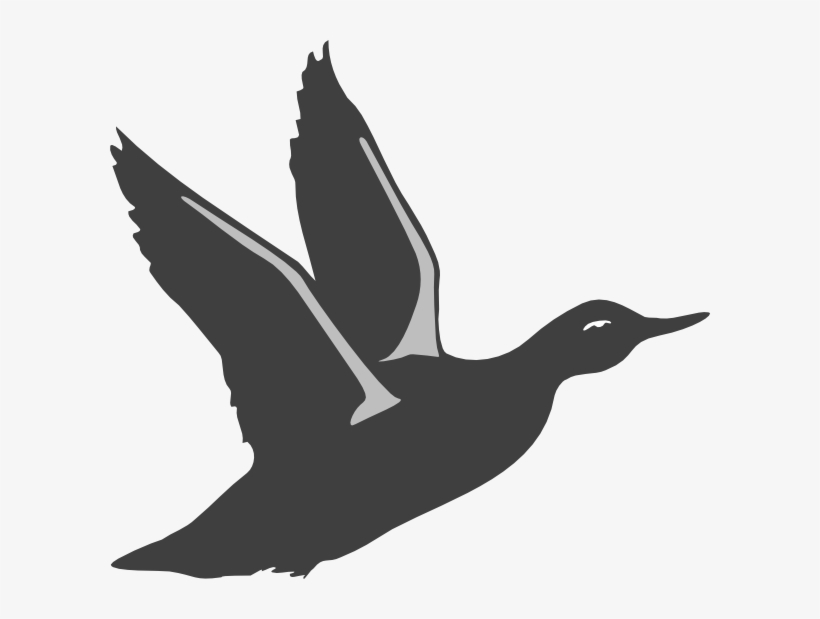 Bird Taking Off Clipart Transparent PNG - 600x539 - Free Download on ...