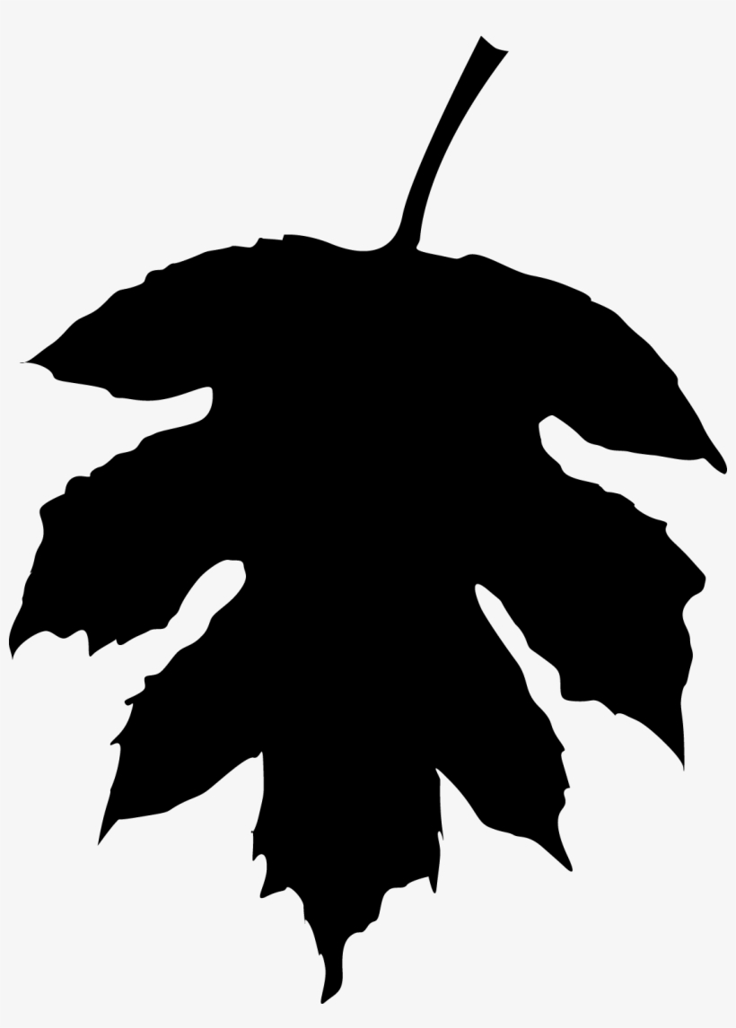 Fall Leaf Silhouette At Getdrawings - Fall Transparent PNG - 1112x1500 ...